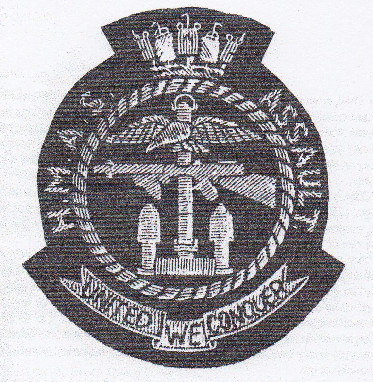 12 HMAS ASSAULT Crest woven WWII185 - Naval Historical Society of Australia
