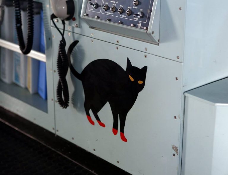 Red Lead – A Cat’s Tail - Naval Historical Society of Australia