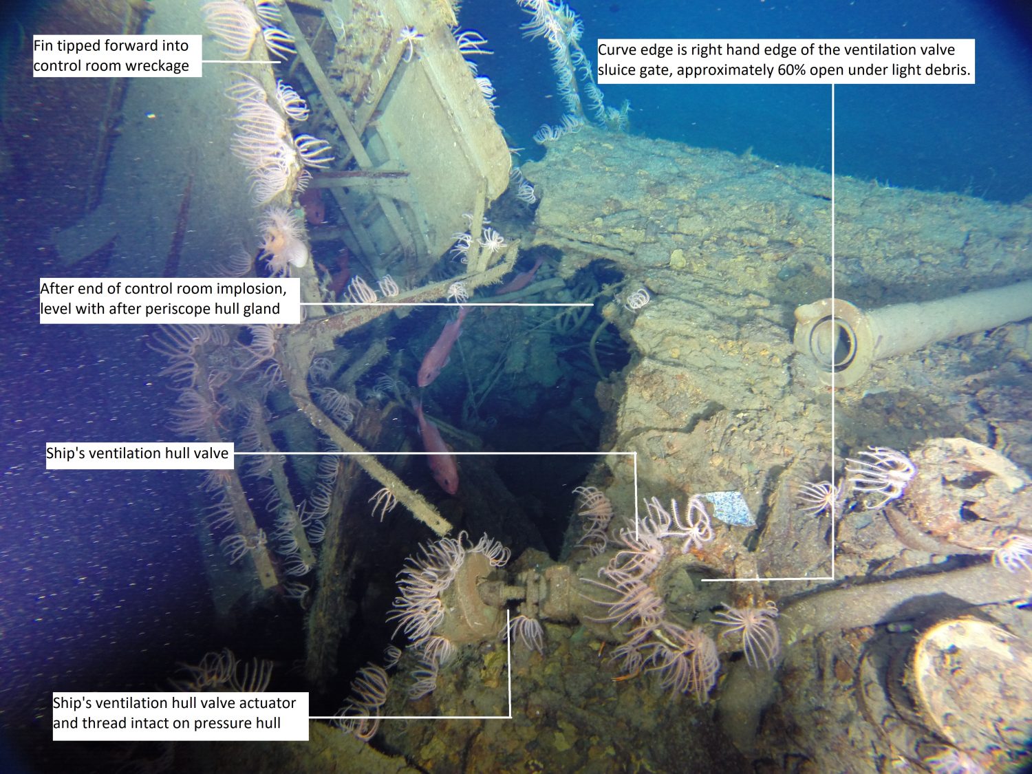 A Hundred-Year-Old Mystery Solved: What Really Happened to AE1 - Naval ...